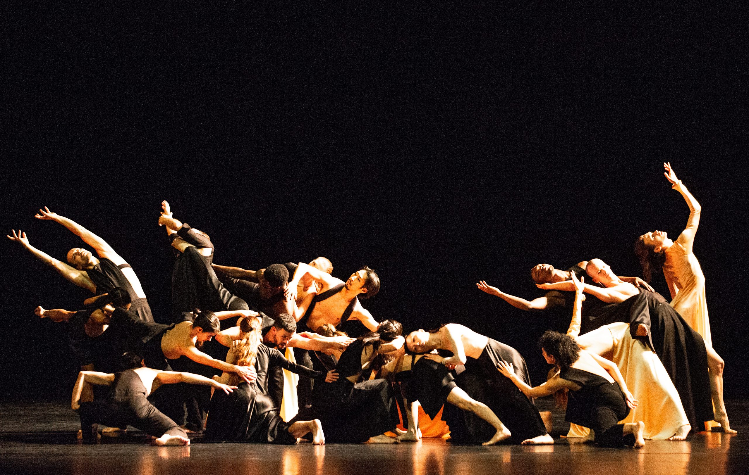 Sym-phonie MMXX – Das Kulturblog